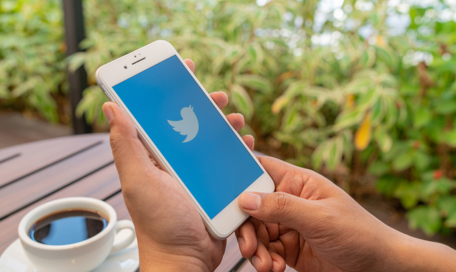 The 50 Best Tweets of 2023 | Palestra Back